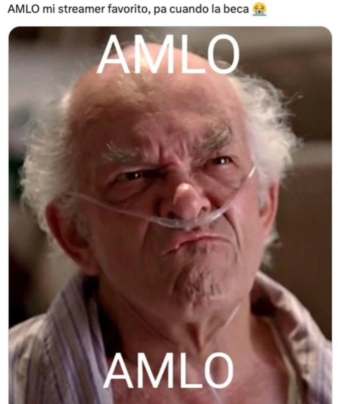 Estos son los mejores memes de AMLO por ser uno de los streamers más ...