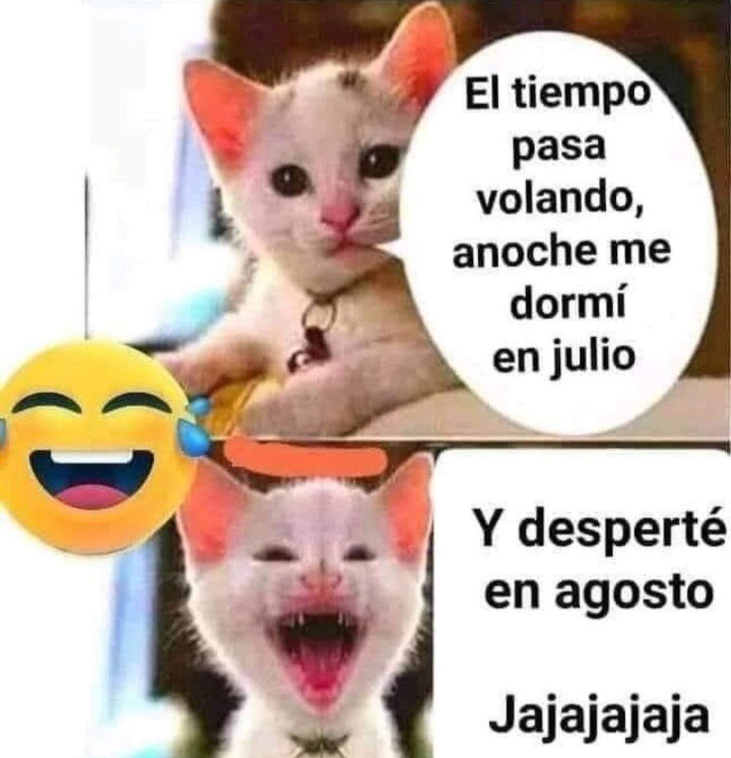 Diviértete con los mejores memes por la llegada de agosto – En Cancha